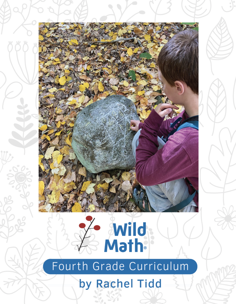 Wild Math Curriculum: Fourth Grade | Wild Learning